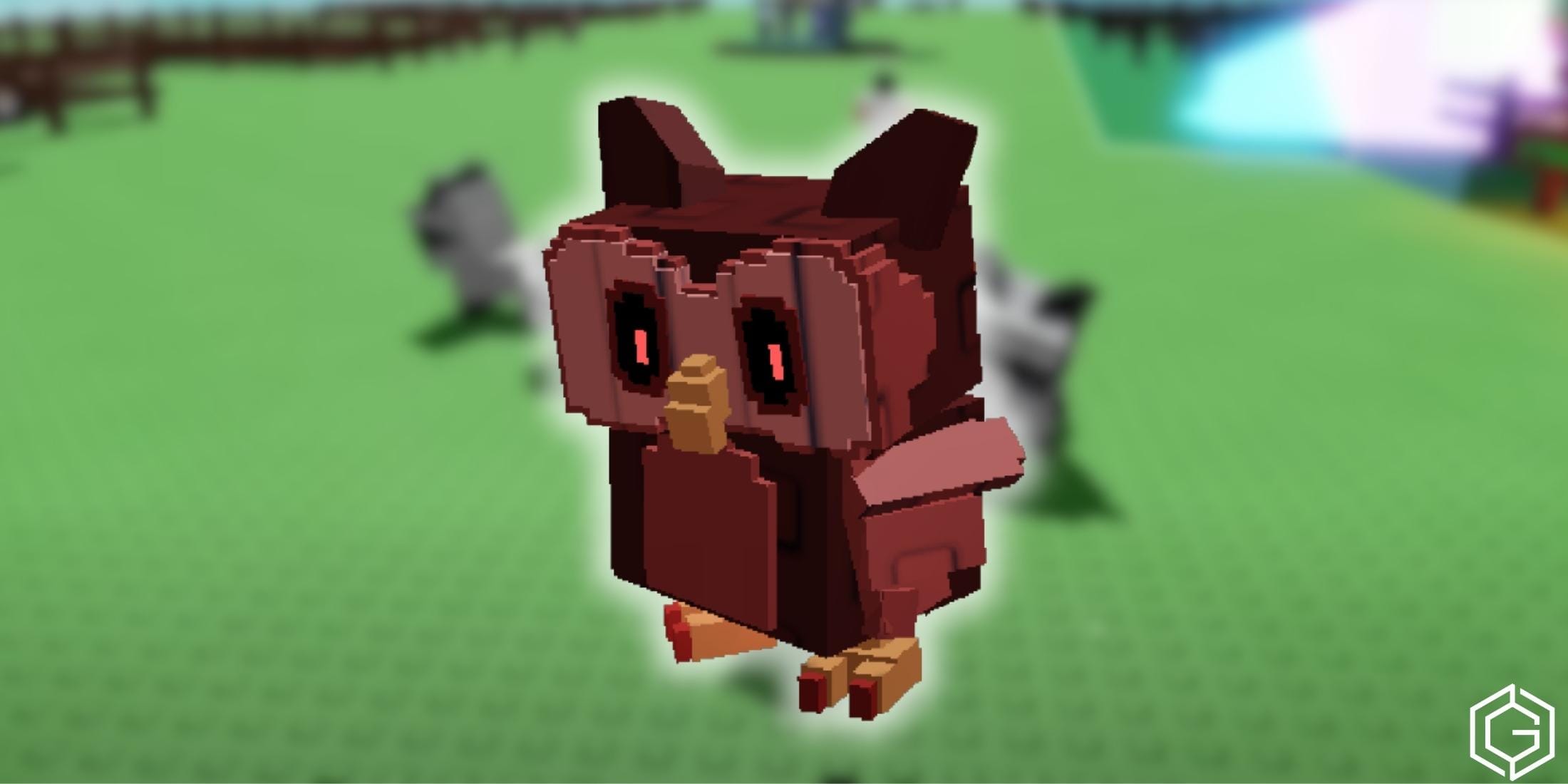 How to Get Blood Owl in Grow a Garden