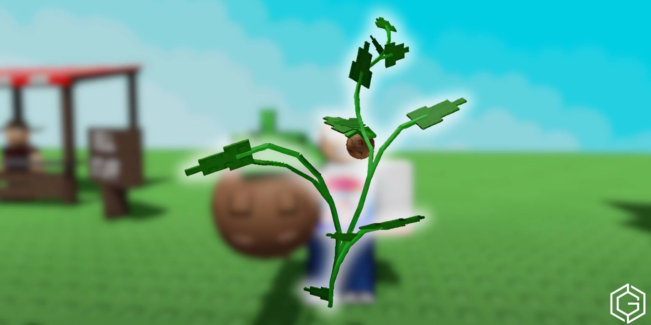How to Get Cocovine in Grow a Garden